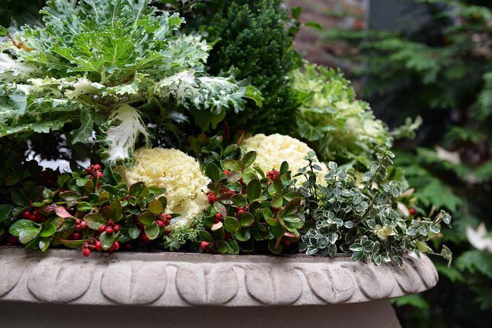 Elegant Winter Courtyard - Traditional - Landscape - Boston - by ...