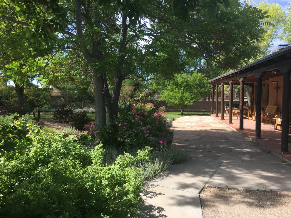 Enchanting Adobe Style Landscape - Southwestern - Patio - Albuquerque ...