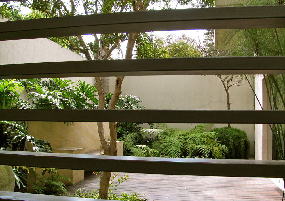 Explanada - Modern - Patio - Mexico City - by A Pleno Sol | Houzz