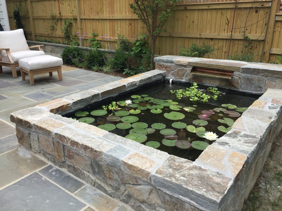 Fish in the Fountain - Traditional - Patio - DC Metro - by Bethesda ...