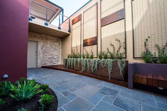 Fremantle Courtyard - Contemporary - Patio - Perth - by Cultivart ...