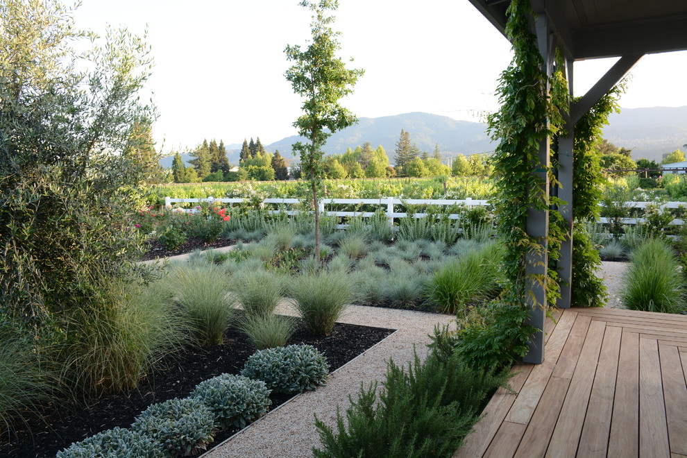 In the Vineyard - Farmhouse - Patio - San Francisco - by Shades Of ...