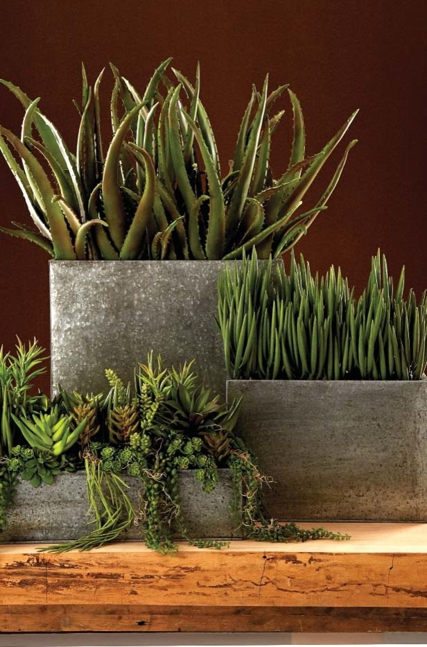 Industrial Garden - Contemporary - Landscape - Dallas - by Teters ...