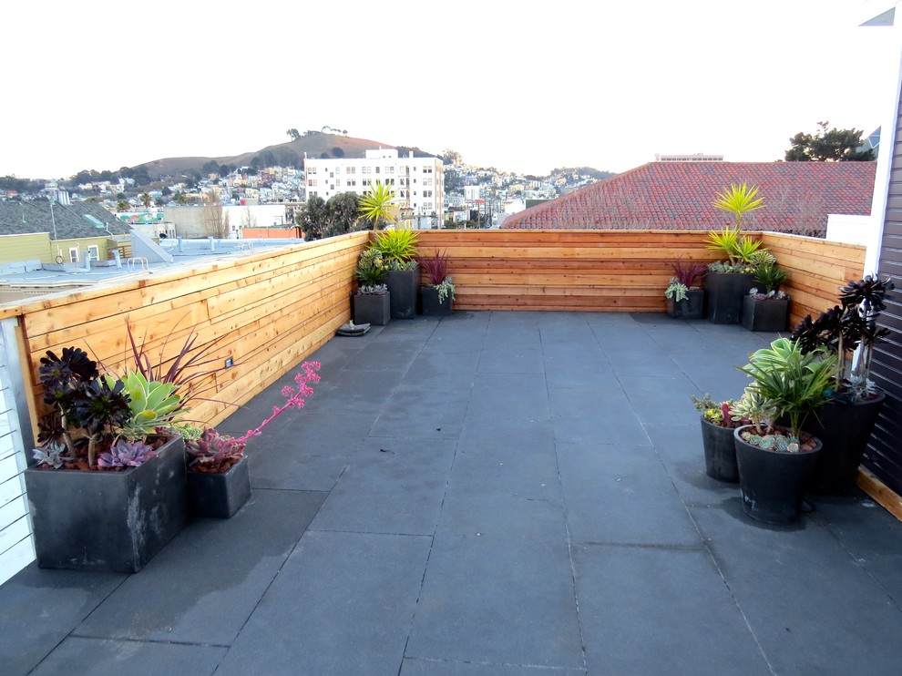 Inner city patios, roofs and deck plantings - Modern - Patio - San ...