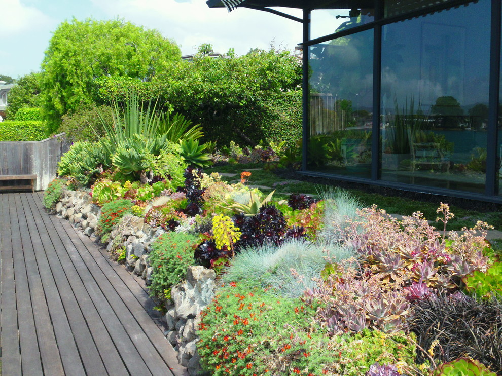 Lagoon - Traditional - Patio - San Francisco - by Inscapes Landscaping ...