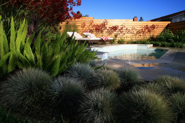 Lisa Cox Landscape Design - Contemporain - Terrasse et Patio - Los ...