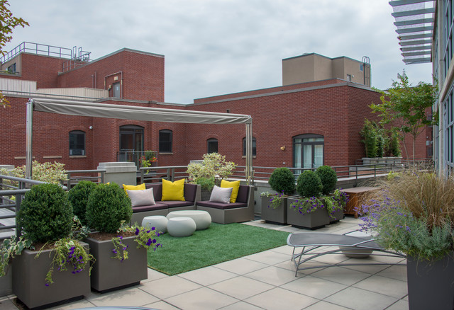 Logan Circle Loft Terraces - Contemporary - Patio - DC Metro - by GardenWise | Houzz UK