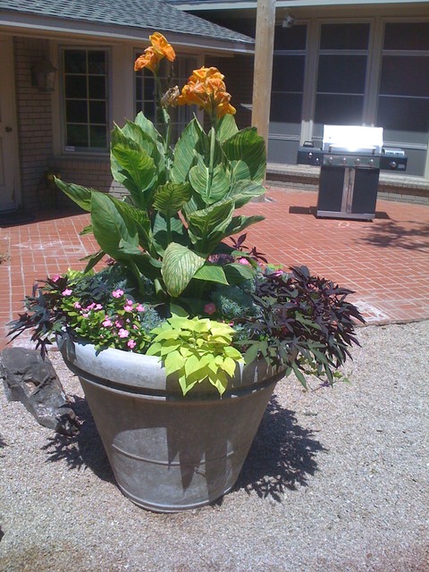 Lubbock Landscape Design Install Maintain - Traditional - Patio ...