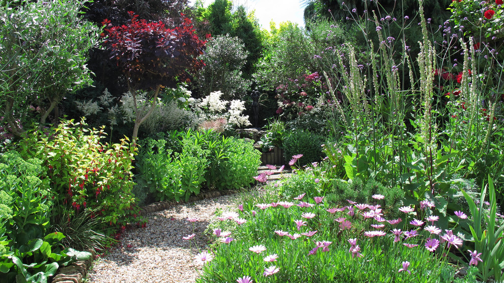 Mediterranean planting redesign - Mediterranean - Landscape - London ...