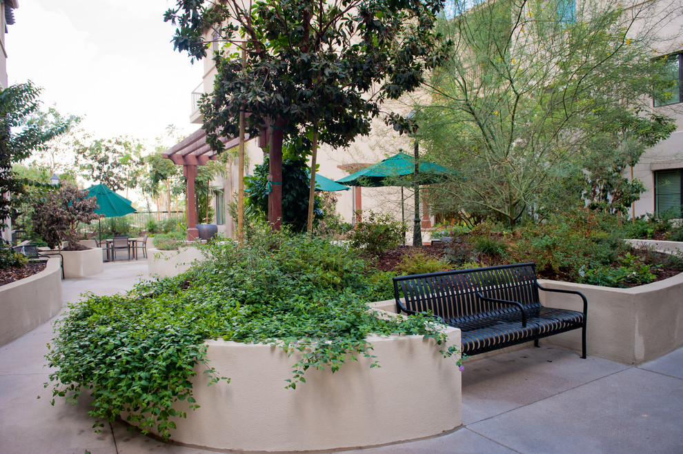 Mezzanine Garden - Contemporary - Patio - Los Angeles - by FormLA ...