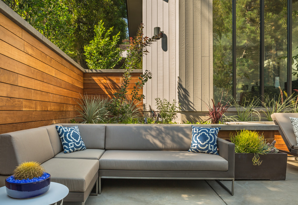 Modern Seating & Ipe Clad Fencing - Modern - Patio - Los Angeles - by ...
