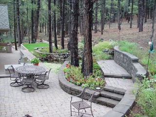On the Edge of the Forest - Rustic - Patio - Phoenix - by Agassiz ...