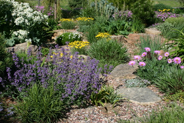Our Perennials - Traditional - Landscape - Salt Lake City - by Deseret ...