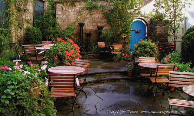 Courtyard Garden Provence St Paul's Provence — Living Gardens