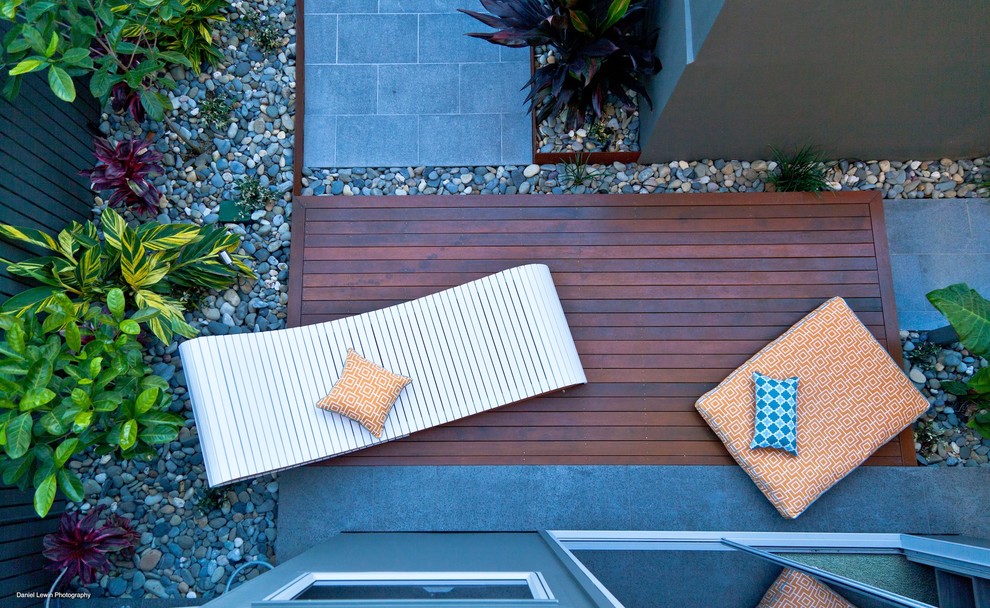 Red Hill - Gold award winning garden - Contemporary - Patio - Brisbane ...