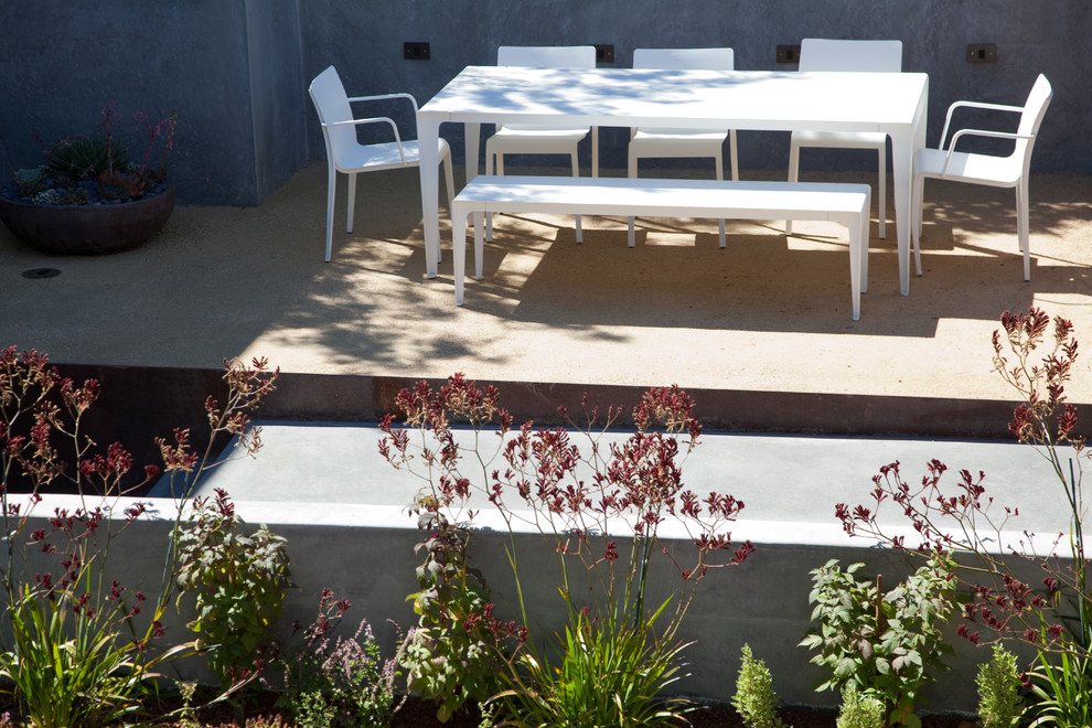 San Francisco Modern - Modern - Patio - San Francisco - by The Garden ...