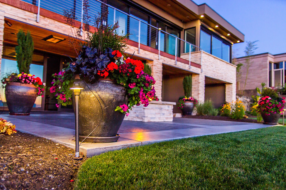 Shoreline Containers - Modern - Patio - Seattle - by Elite Horticulture ...