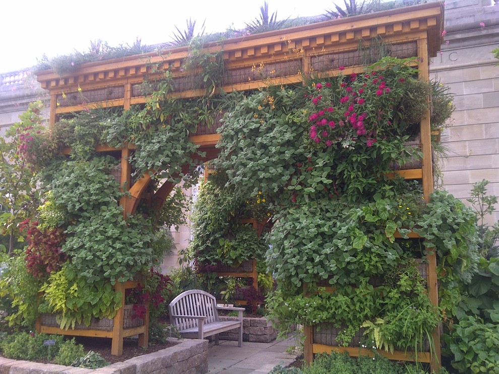 Stacked plants - Patio | Houzz