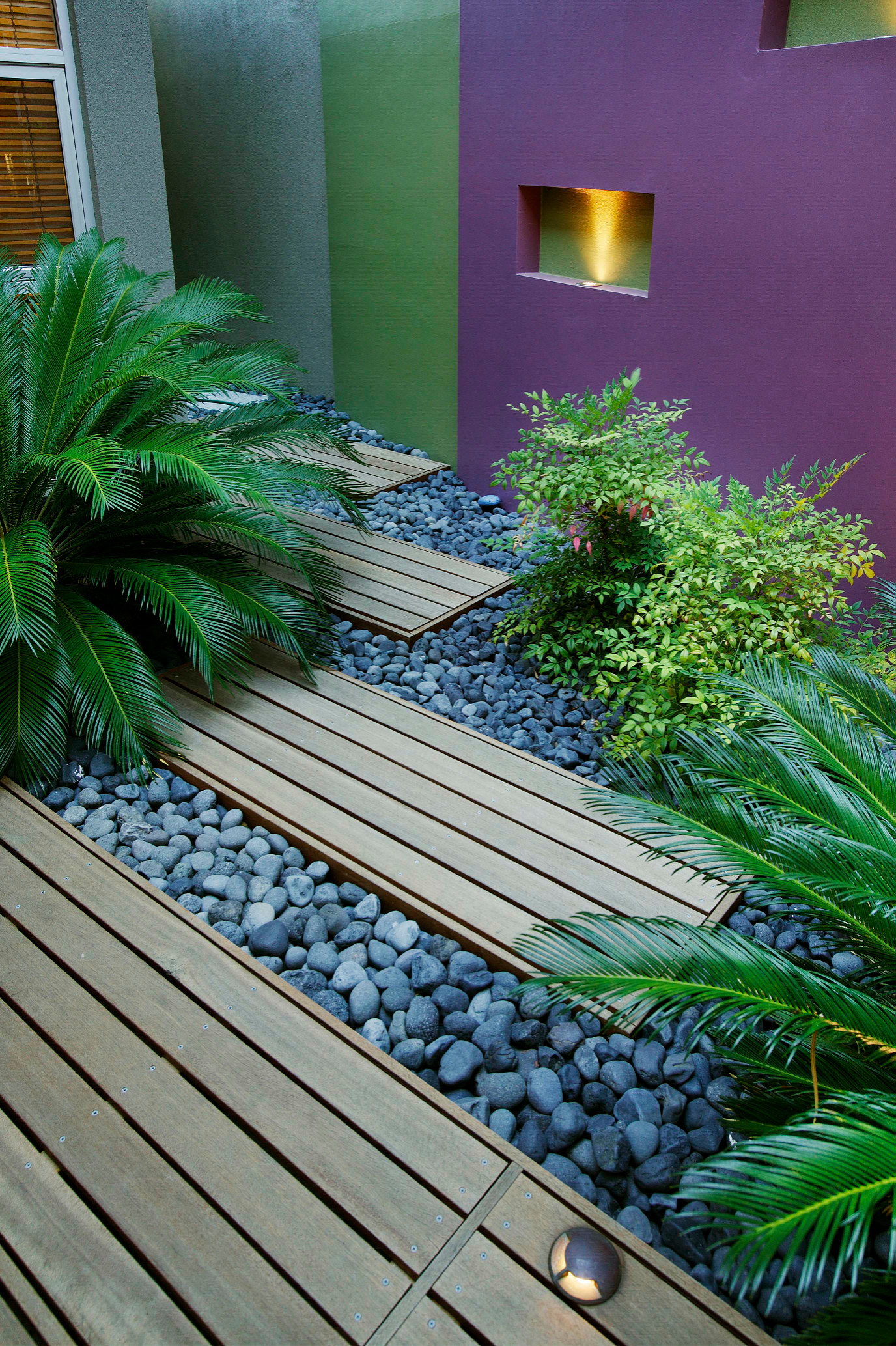 Outdoor Plant Profile: Cycads | Houzz NZ