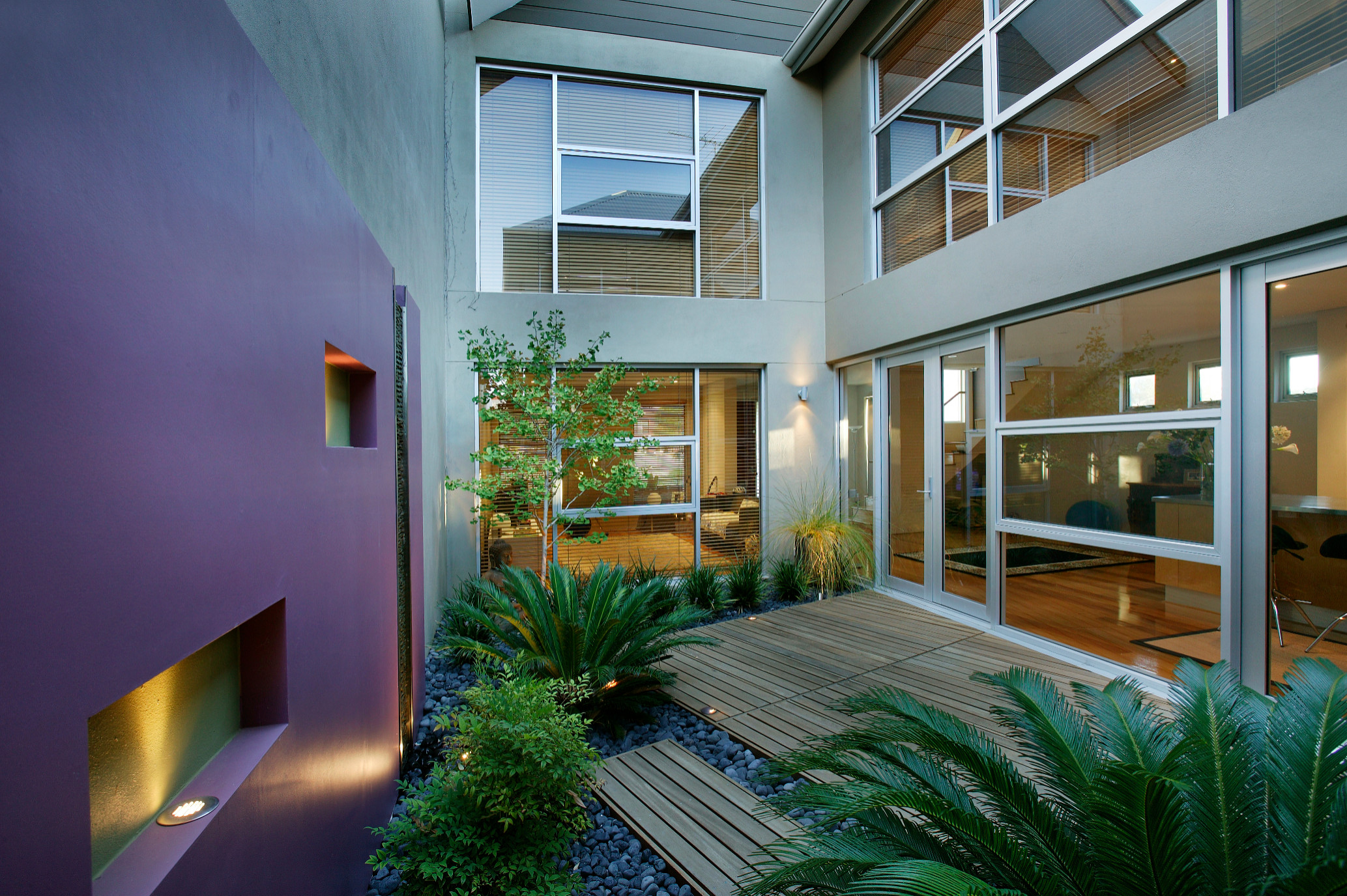 10 Terrific Trees for Your Courtyard | Houzz NZ