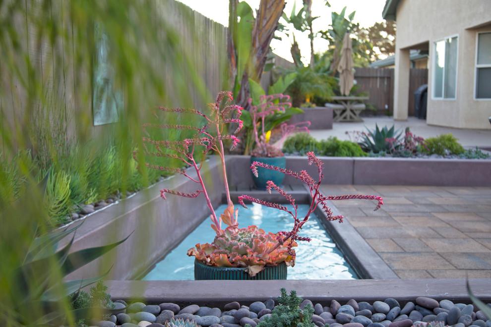 Subtropical Oasis - Tropical - Patio - San Luis Obispo - by Landwell ...