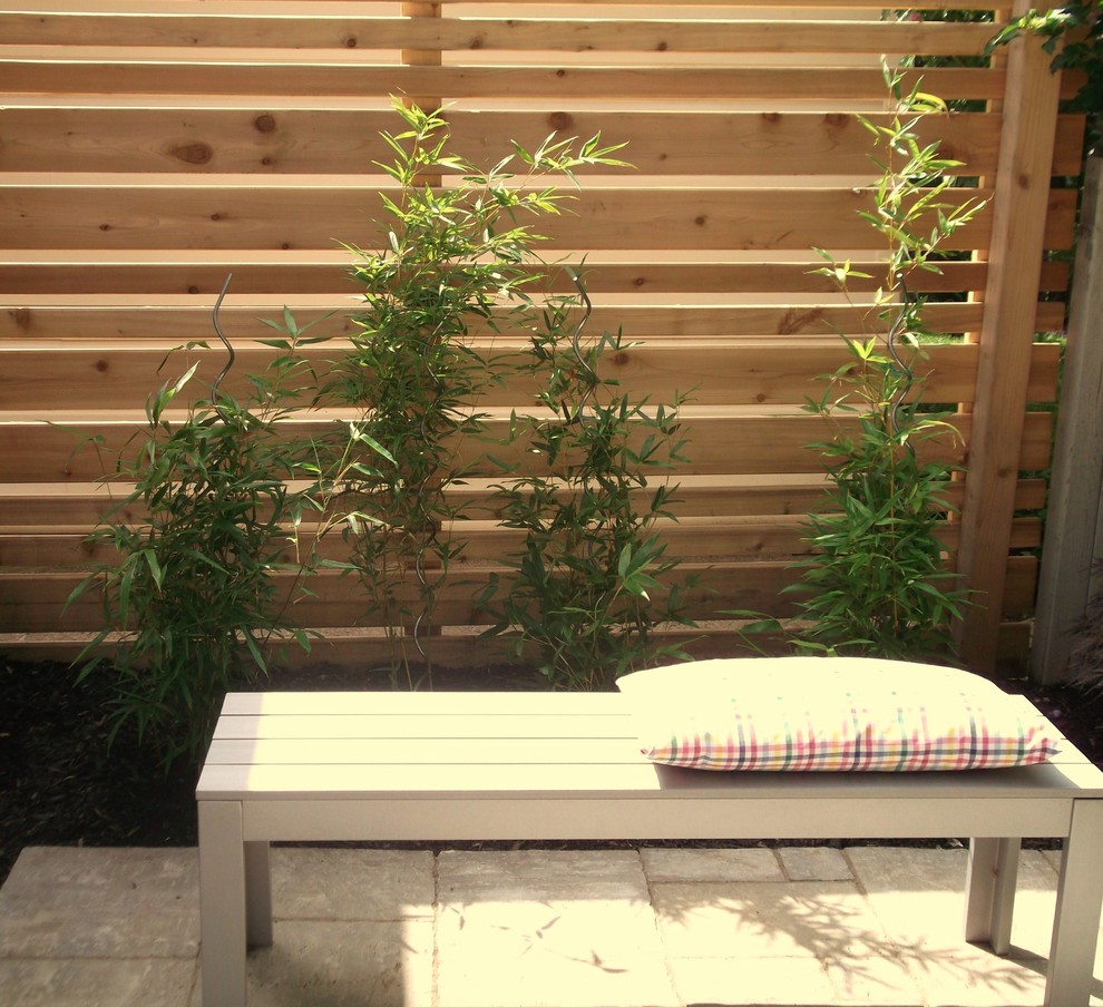 SUNNYSIDE Backyard - Contemporary - Patio - Toronto - by earth and sole ...