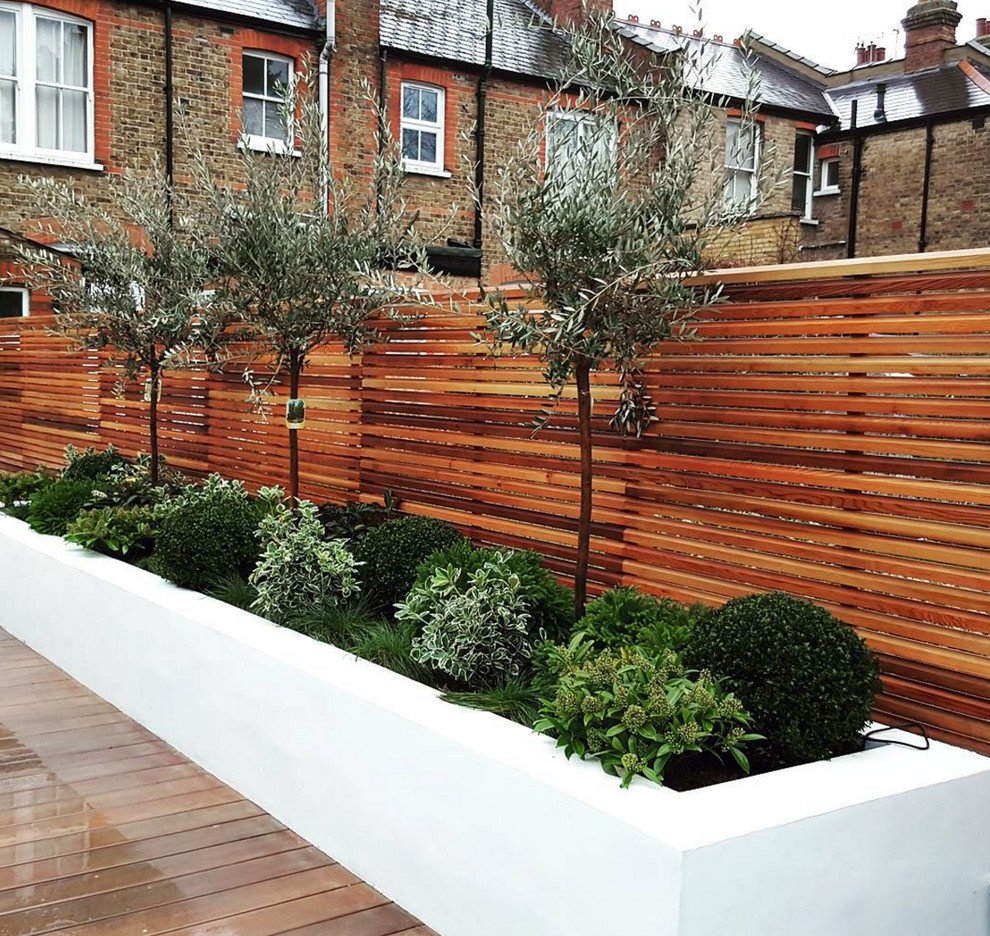 The Belsize - London - Patio - London - by Is and Ren Studios Ltd | Houzz