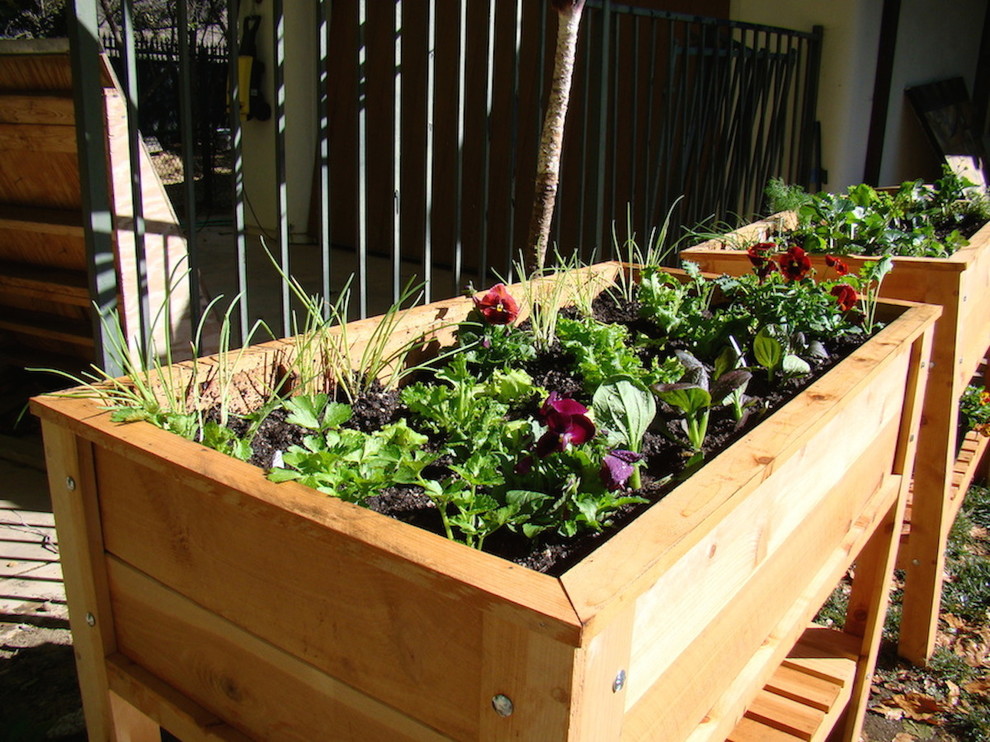 The City Salad Box - Contemporary - Landscape - Los Angeles - by Eden ...