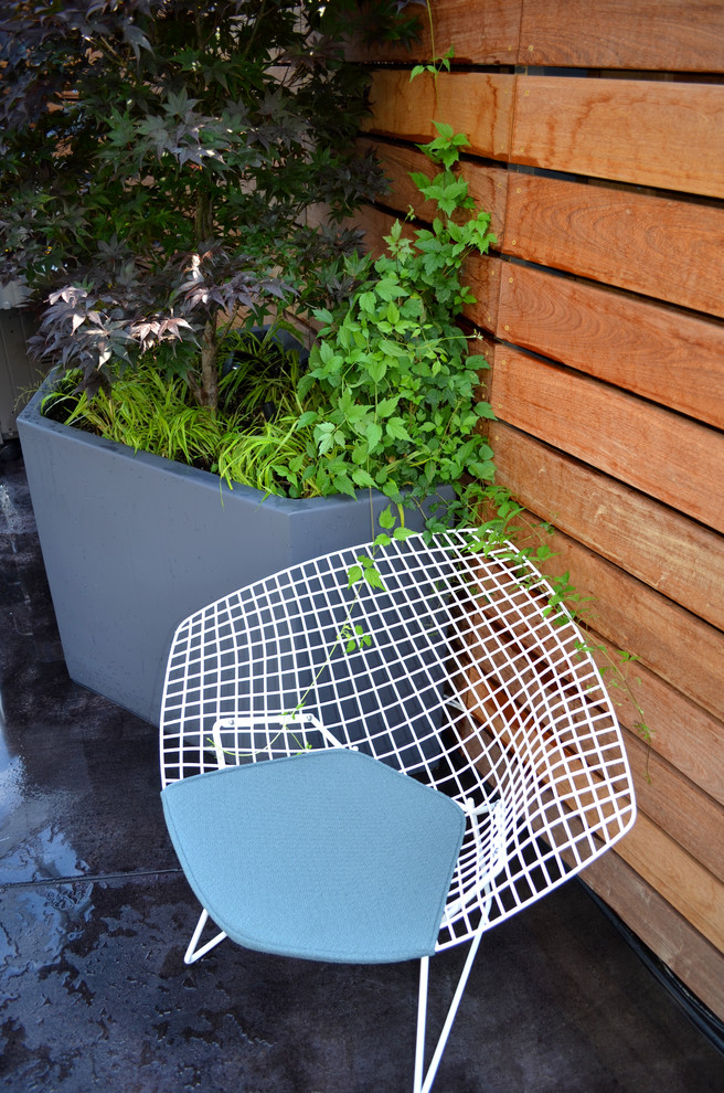 Tribeca Backyard Garden by Jeffrey ERb - Contemporary - Patio - New ...