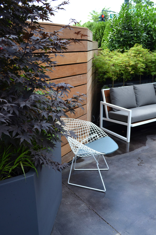 Tribeca Backyard Garden by Jeffrey ERb - Contemporary - Patio - New ...