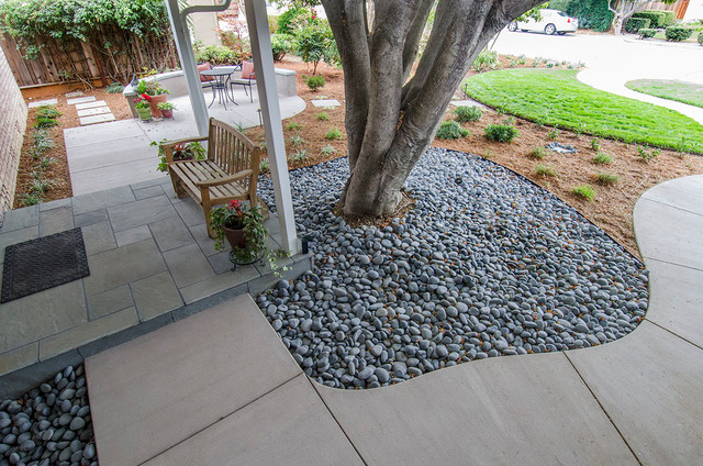 Landscaping Under Maple Trees