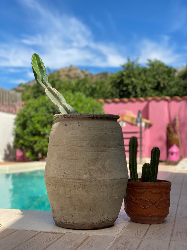 Detalles cactus - Mediterranean - Pool - Alicante-Costa Blanca - by ...