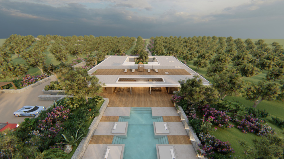 OLIVE YARD VILLA |UNA VILLA TRA GLI ULIVI - 900 M2 - Contemporary ...