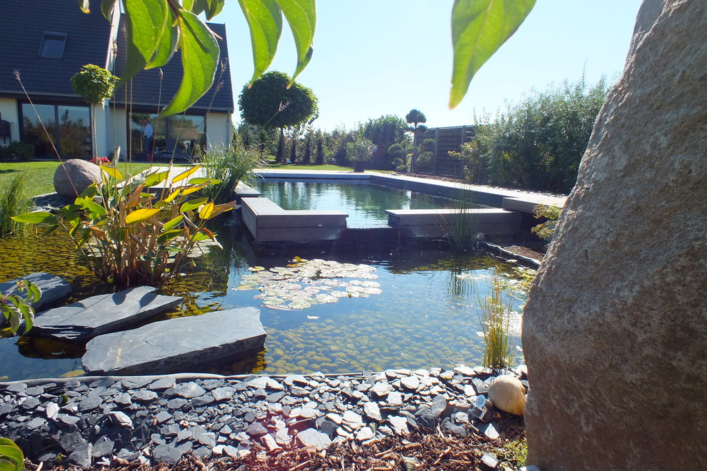 Débordement de la piscine biologique dans le bassin à poissons ...