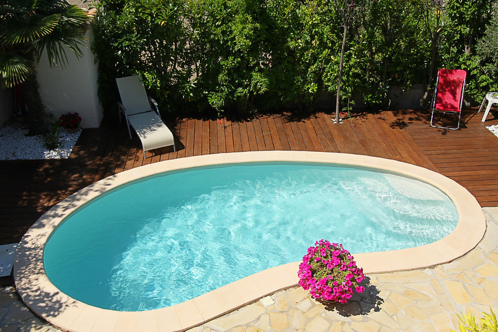 Mini piscine - Traditional - Pool - Montpellier - by Diffazur Piscines ...
