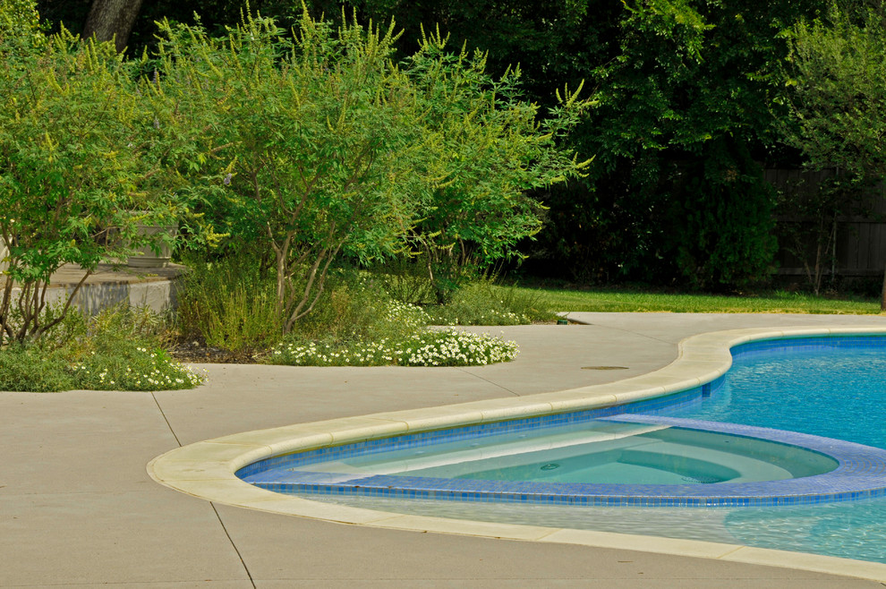 60s pool remodel - Modern - Pool - Richmond - by Working Nature LLC | Houzz