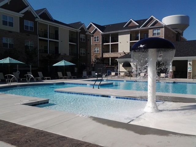 A pool with many features: beach entry, mushroom, basketball ...