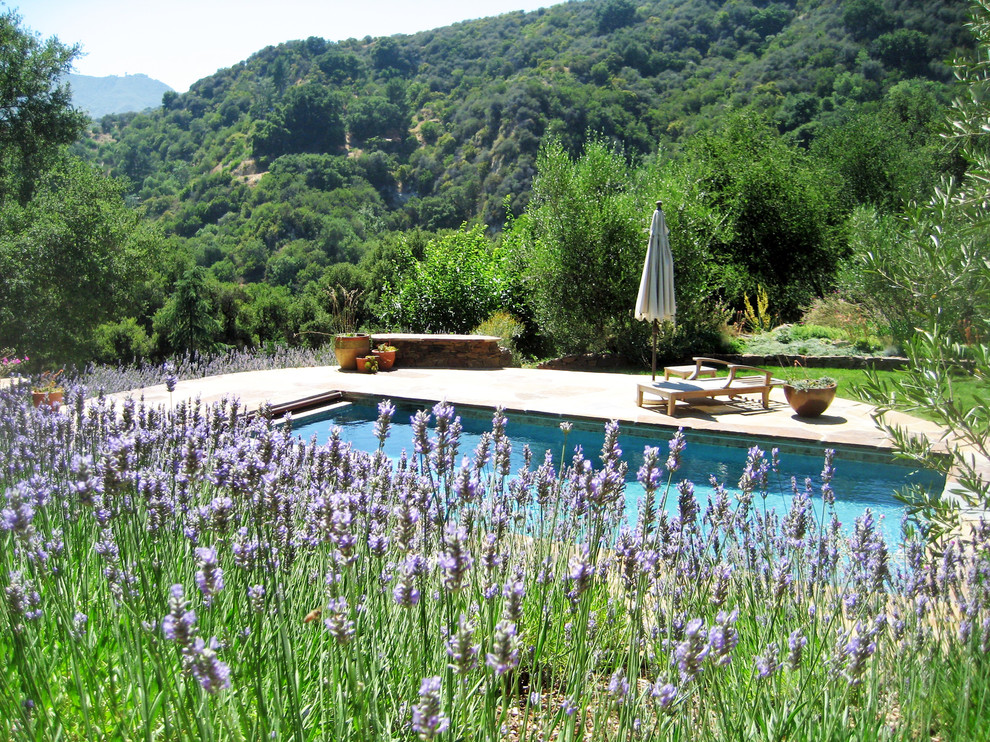 A Three Acre Rock Quarry: Landscape between a rock and a hard place ...