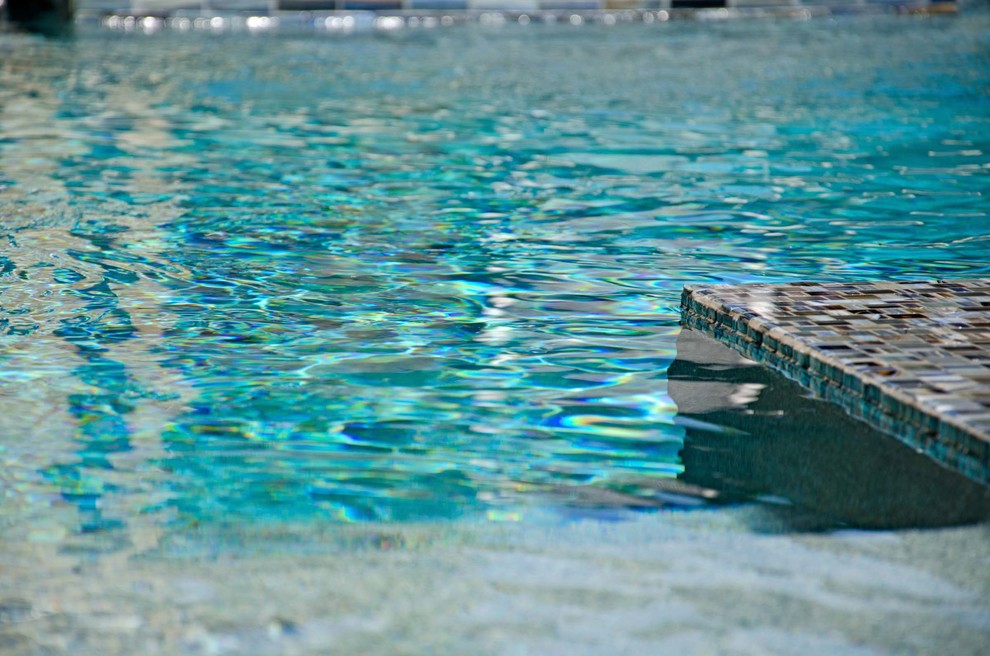 A Touch of Red - Contemporary - Pool - Houston - by Water's Edge ...