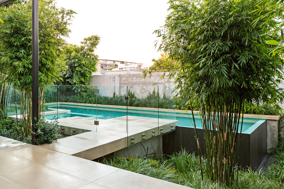 Albert Park Infinity Lap Pool and Spa - Contemporary - Pool - Melbourne ...