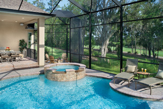 Amelia 1124 - Traditional - Pool - Tampa - by Arthur Rutenberg Homes