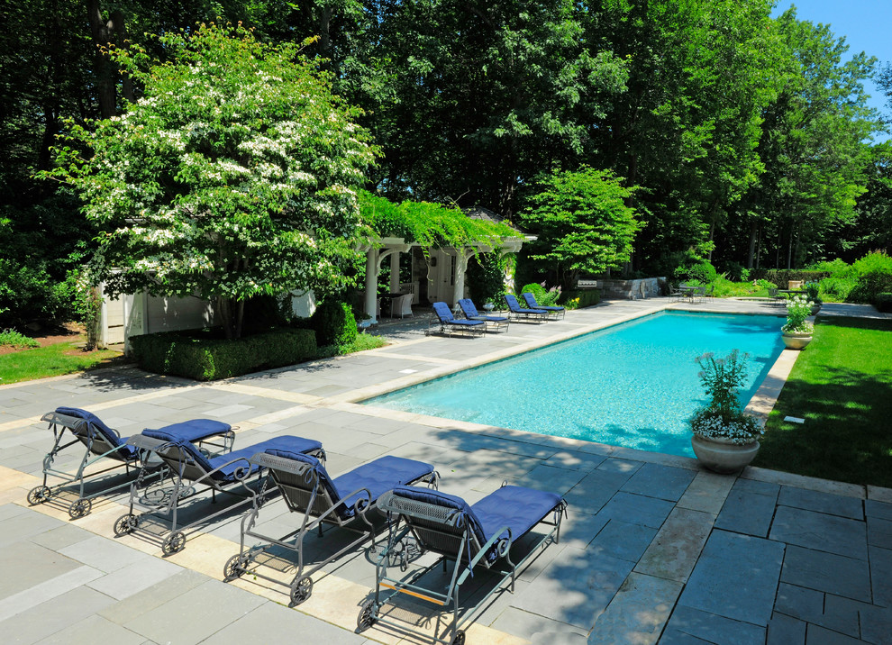 American Colonial Revival - Traditional - Pool - New York - by ...