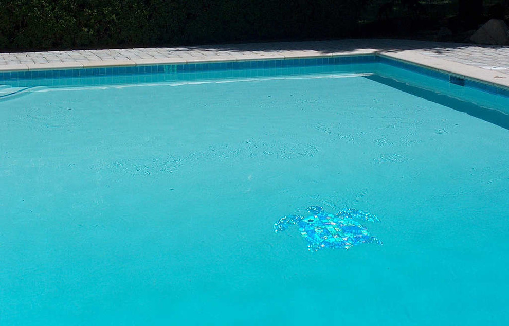 Aqua Glass Tile Pool with Jewel Accents- Maryland - Tropical - Pool ...