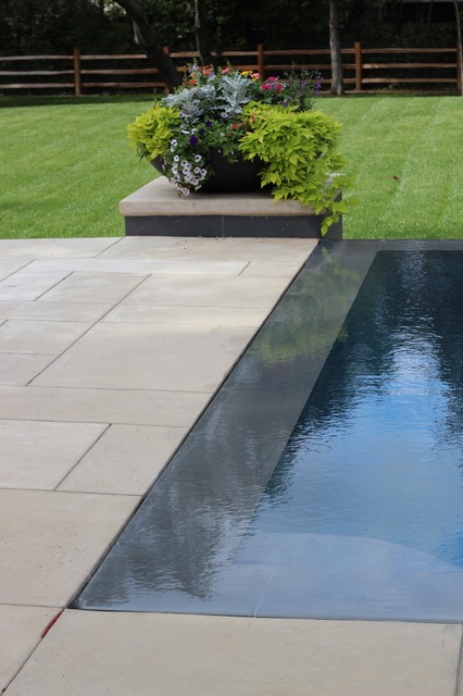 Arden-Arcade Perimeter Overflow Pool - Modern - Pool - Sacramento - by ...