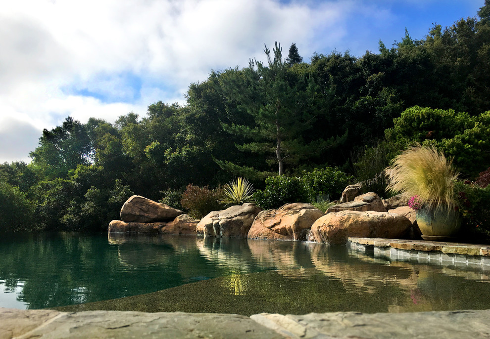 Artificial Rock with Infinity Edge Pool - Rustic - Pool - San Francisco ...