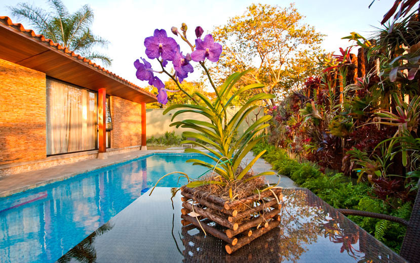 Asian Pool - Asian - Pool - Other | Houzz