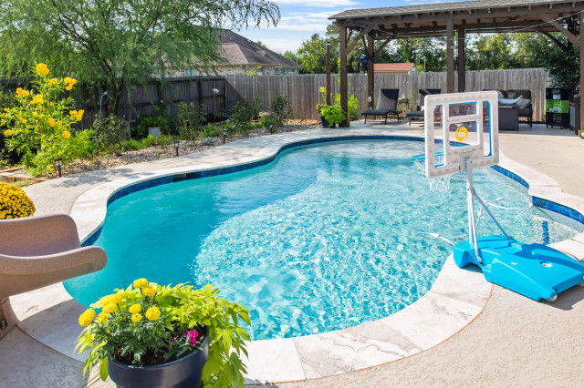 Basketball Goal and Freeform Pool - Pools - Austin - von Paradise Oasis ...