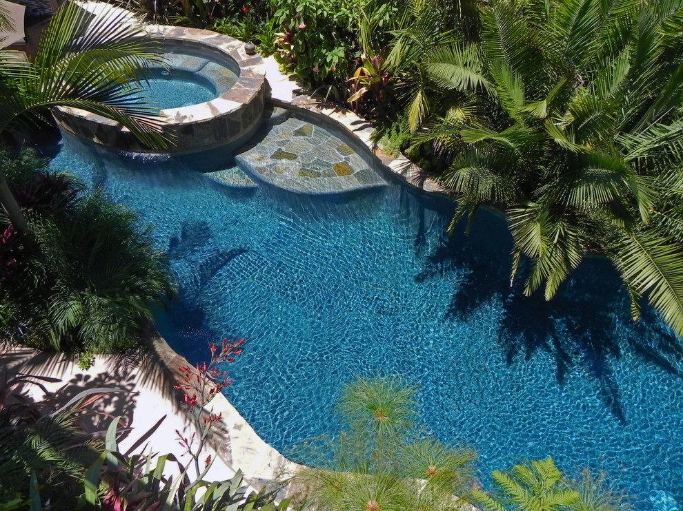 Beautiful Freeform Tropical Pools - Tropical - Pool - San Diego - by ...
