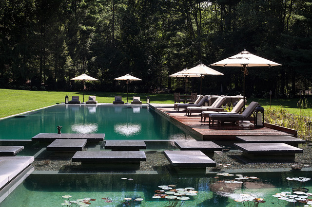 Bio Nova Natural Swimming Pool - Transitional - Swimming Pool & Hot Tub ...