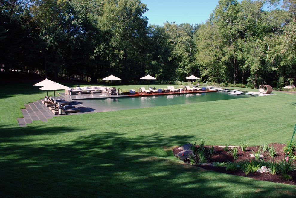 BioNova® Natural Swimming Pool - Danbury, CT - Pool - New York - by ...